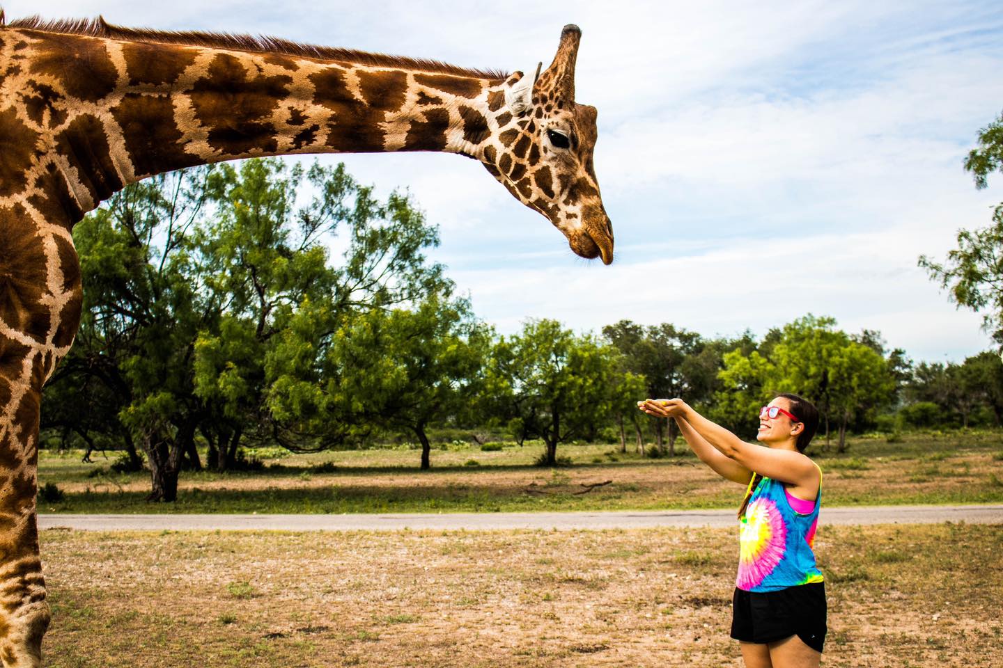 Texas Exotics Dude Ranch Experience 2025 - Beatrice Bradley