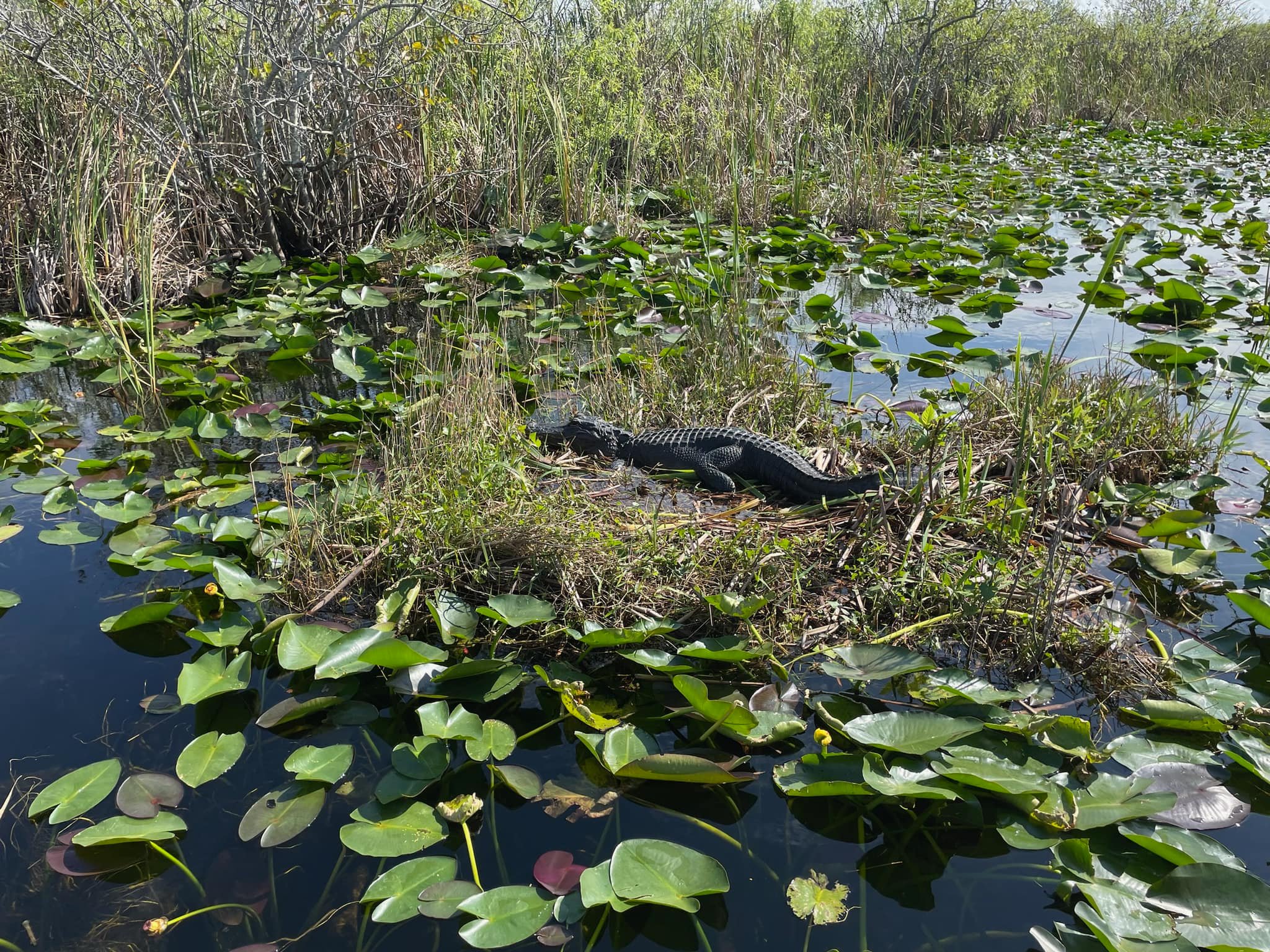 Miami and The Florida Keys – Day 3 - Beatrice Bradley