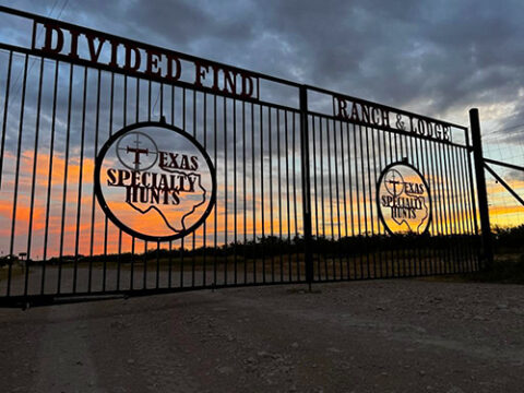 Divided Find Texas Rodeo 2024 Trip - Beatrice Bradley