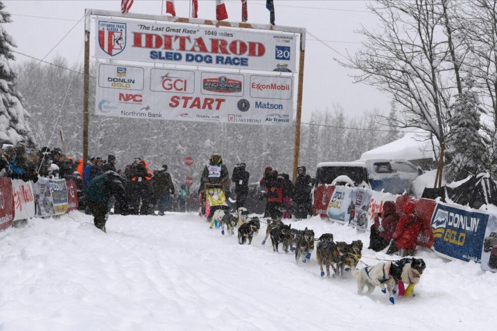 The Iditarod Alaska 2025 Trip - Beatrice Bradley